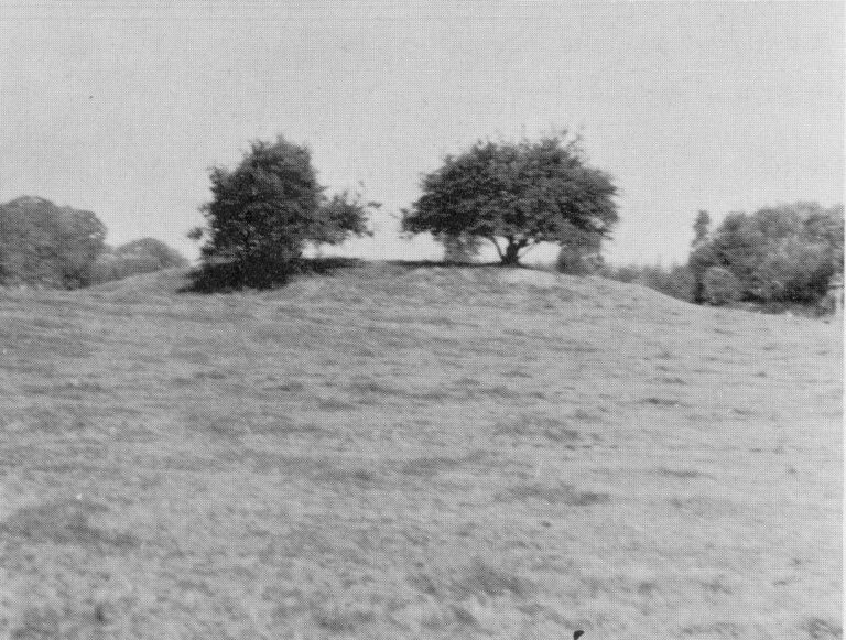 Die Anfänge des Gutes Depenau – Sage – Stolpe am See