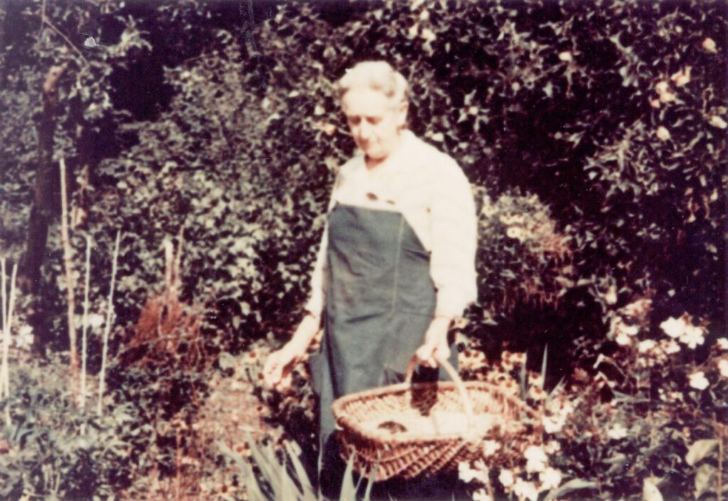 Familie von Kap-herr – Stolpe am See